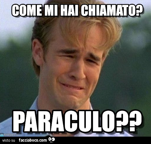 Come mi hai chiamato? Paraculo? - Facciabuco.com