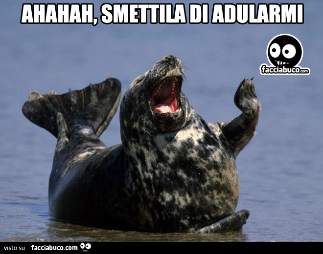 Ahahah, smettila di adularmi - Facciabuco.com