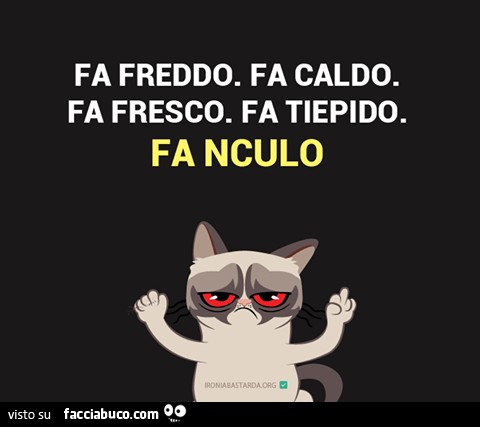 Fa freddo. Fa caldo. Fa fresco. Fa tiepido. Fa nculo - Facciabuco.com